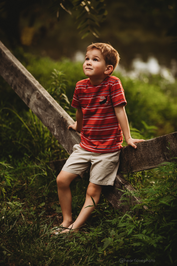 6 Year Old Milestone Portraits Centennial Lake Photography