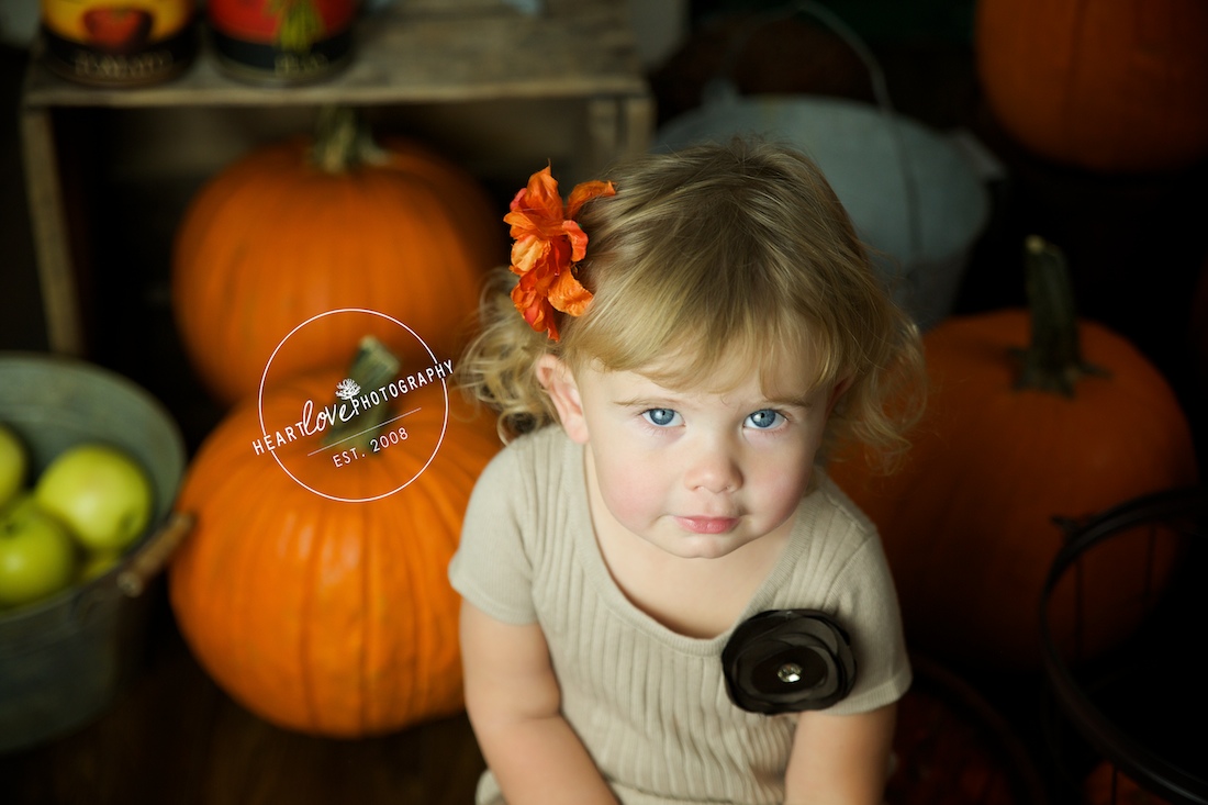 fall mini session results 2015 | baltimore baby photographer ...