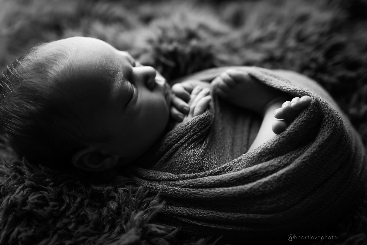 newborn photos in earth tones | maryland newborn photographer ...