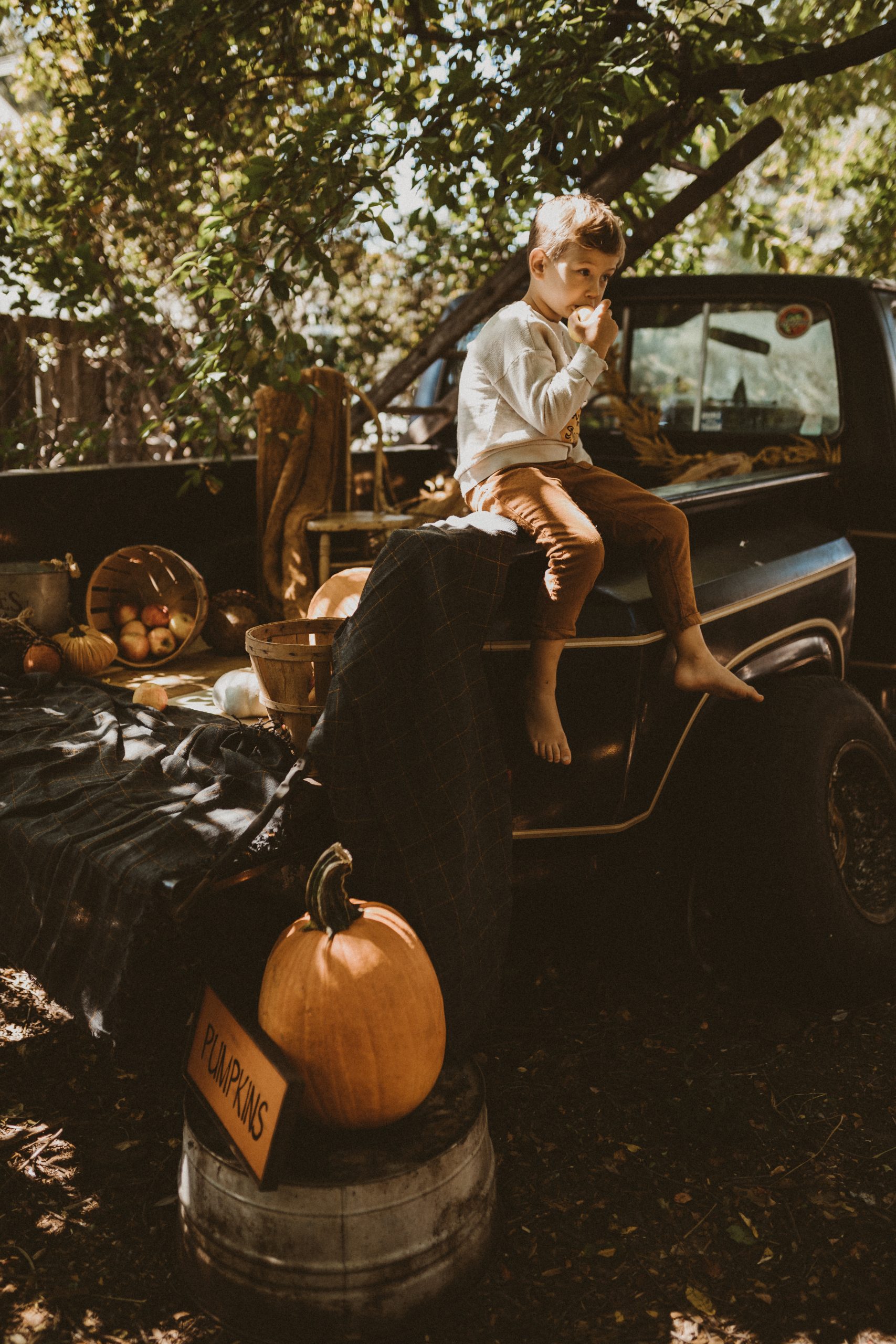 Pumpkin Mini Sessions – Heartlove Photography